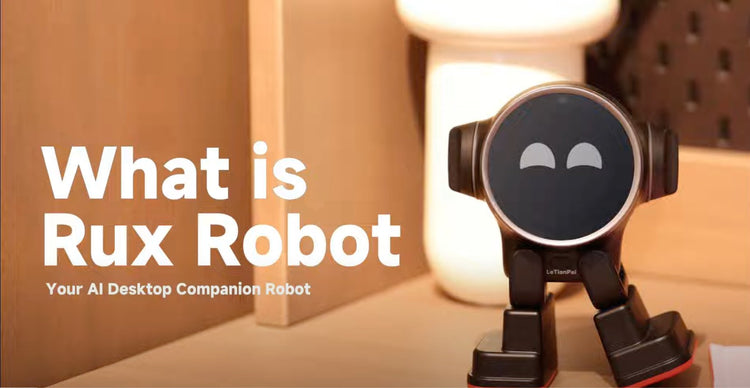 Rux vs. Loona: The Battle of AI Companions – Xiaomi Crowdfunding